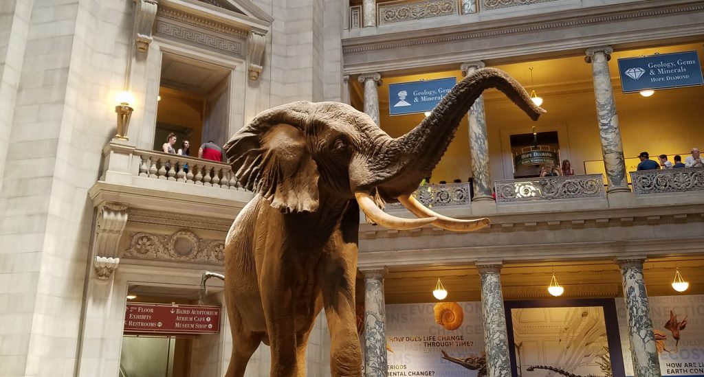 The Ultimate Guide to the Smithsonian Museums | Daycation DC