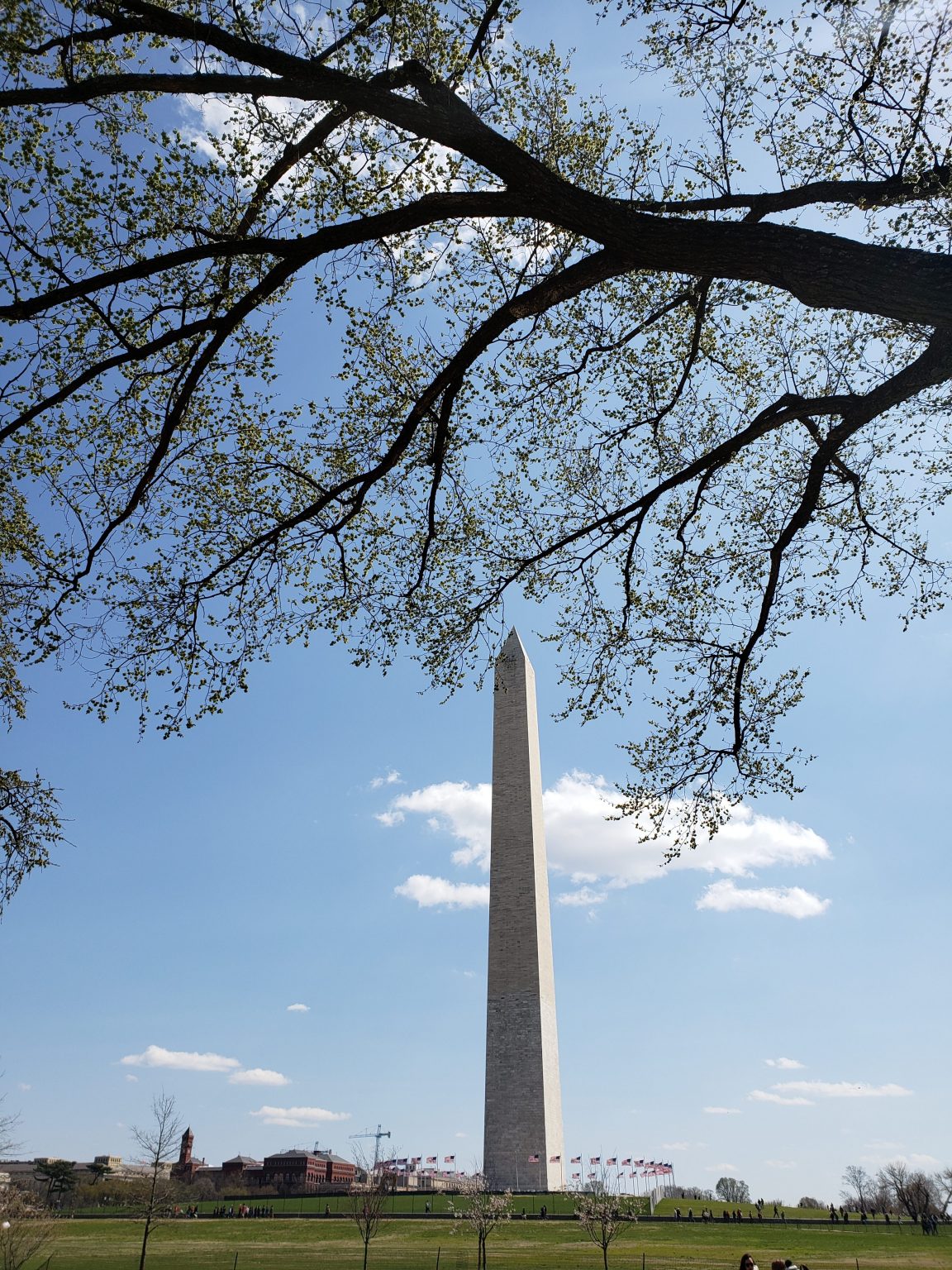 Monuments and Museums: a Weekend in Washington, DC with Go City Card ...
