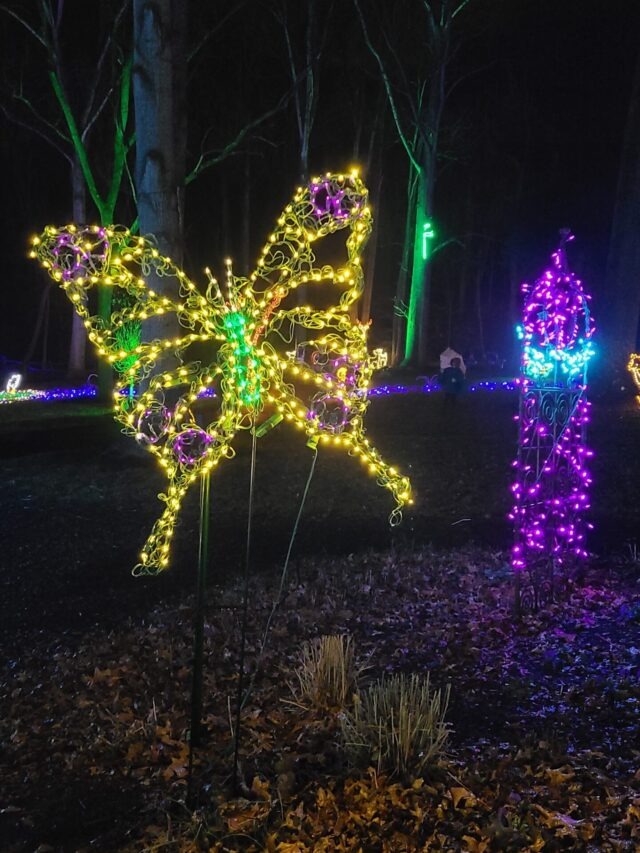 Light Shows in the DMV to Brighten Your Holiday Season - Daycation DC