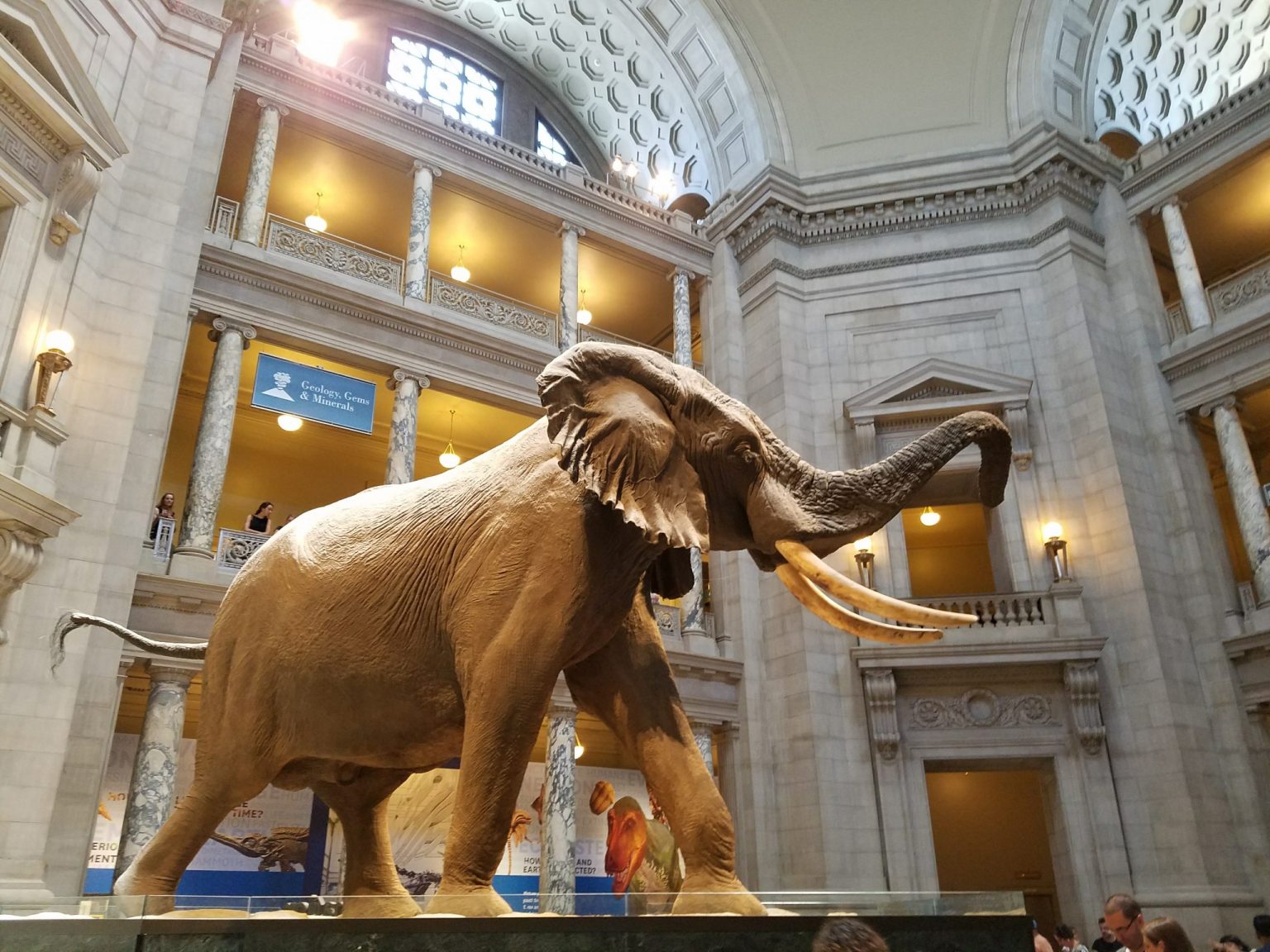The Ultimate Guide to the Smithsonian Museums | Daycation DC